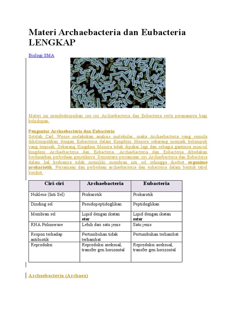 Materi Archaebacteria Dan Eubacteria LENGKAP | PDF