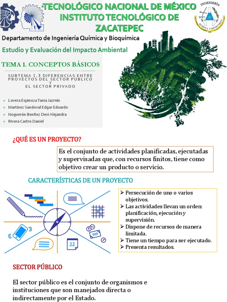 Diferencia Entre Proyecto Del Sector Público y Sector Privado | PDF ...