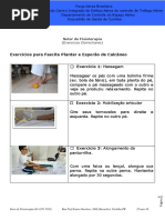 11 - Região Poplítea | PDF | Joelho | Anatomia humana