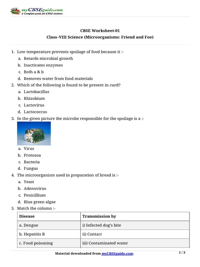 8 Science Worksheet ch2 1 | PDF | Microorganism | Bacteria
