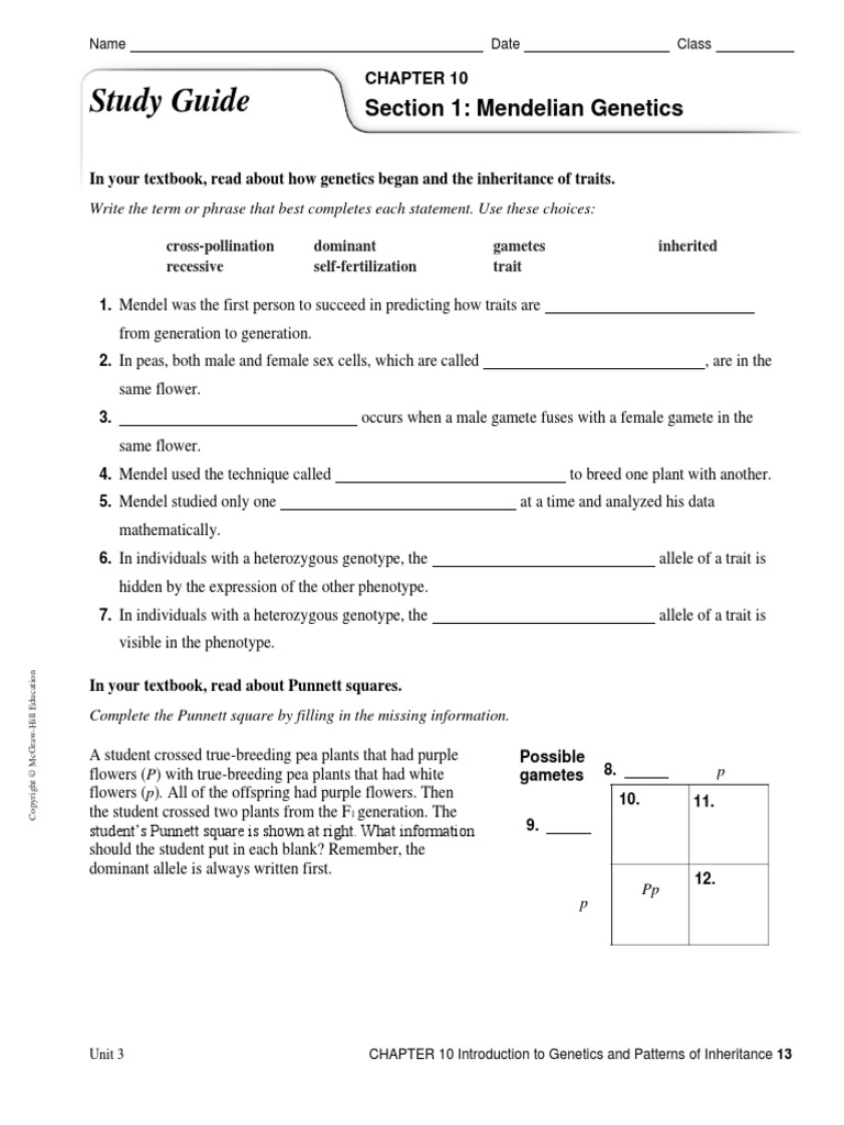 Chapter 10 Mendilan and Genetics Study Guide | PDF | Meiosis ...