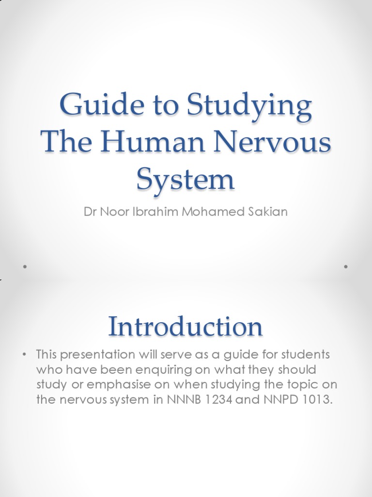 Study Guide for Human Nervous System | PDF | Central Nervous System ...