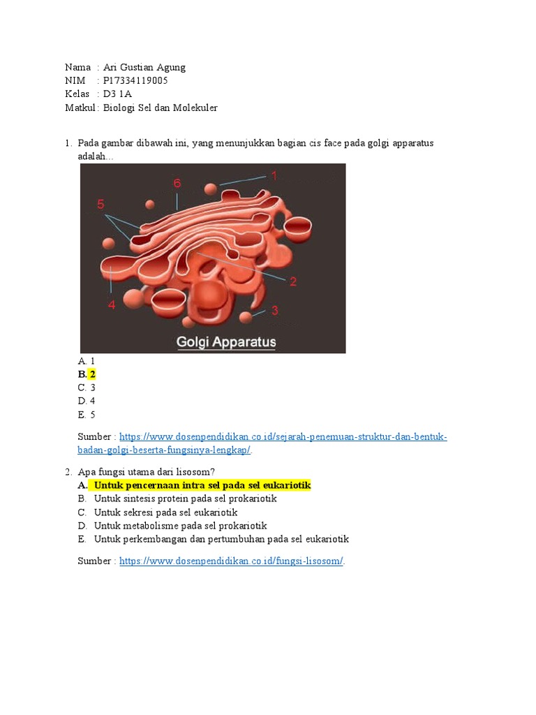 Soal Biomol Badan Golgi Lisosom | PDF