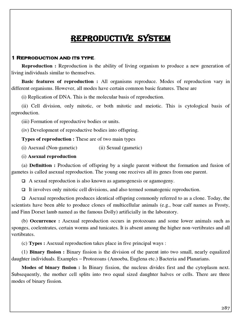 Reproductive System PDF | PDF | Sexual Reproduction | Testicle