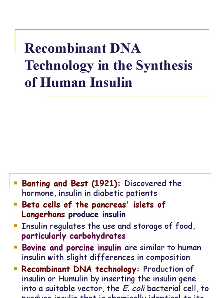 Recombinant DNA Technology in The Synthesis of Human Insulin | PDF