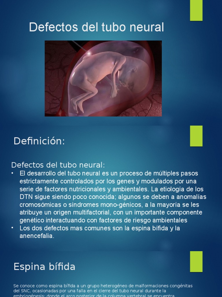 Defectos del Tubo Neural: Causas y Prevención | PDF | Rtt | Pediatría