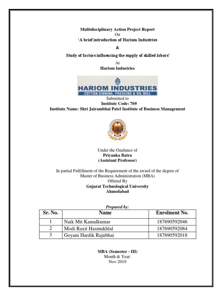 MAP-Report Hard Copy Final 01-1 | PDF | Occupational Stress | Business