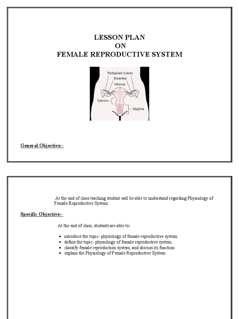 Female Reproductive System Lesson Plan | PDF | Menstrual Cycle | Ovary