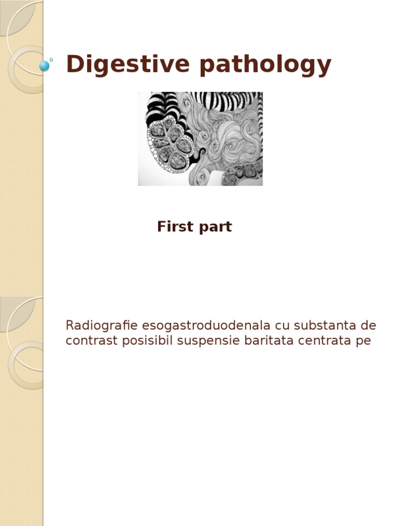 ESOFAG | PDF | Esophagus | Human Digestive System