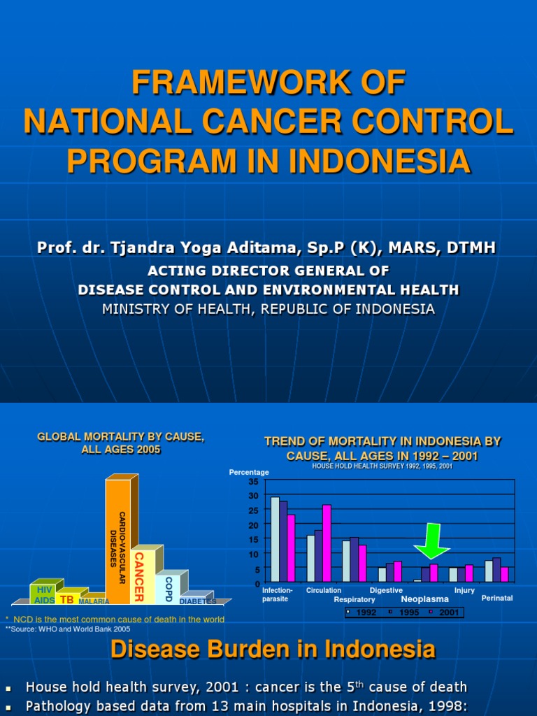 Framework of National Cancer Control Program in Indonesia | Cancer ...