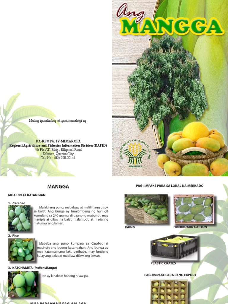 Ang Mangga | PDF