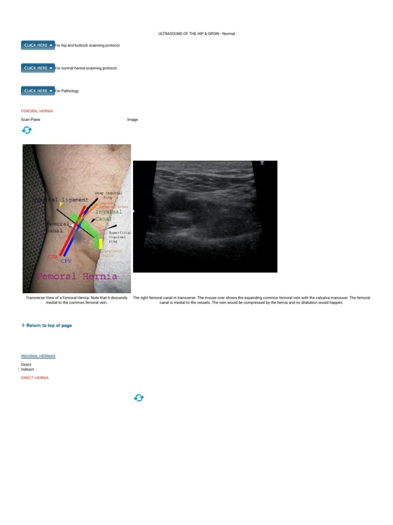 Hip and Groin Ultrasound Protocols | PDF | Limbs (Anatomy) | Lower Limb ...