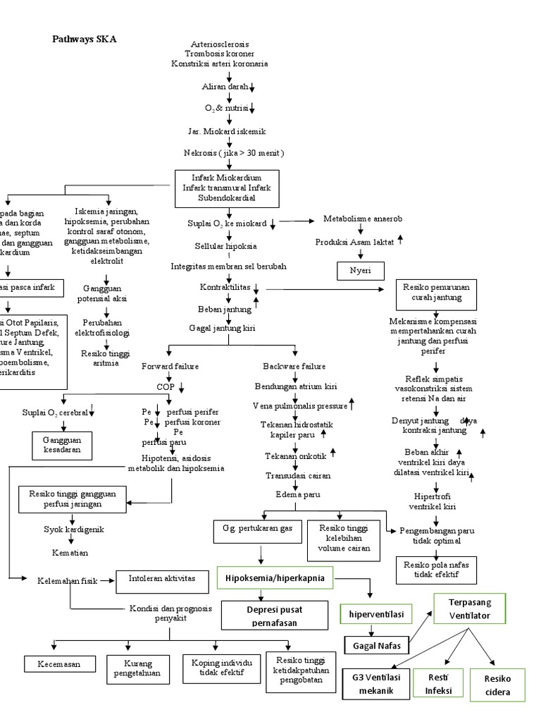 Pathway Gagal Nafas | PDF