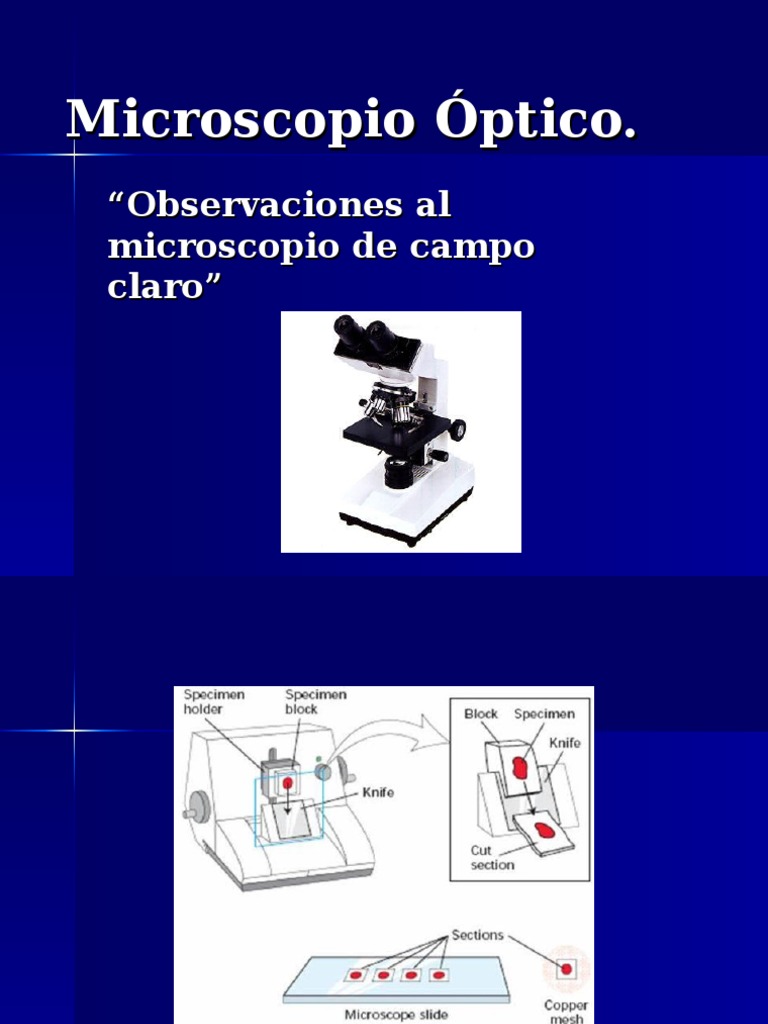 Lab1 Microscopia Optica | PDF