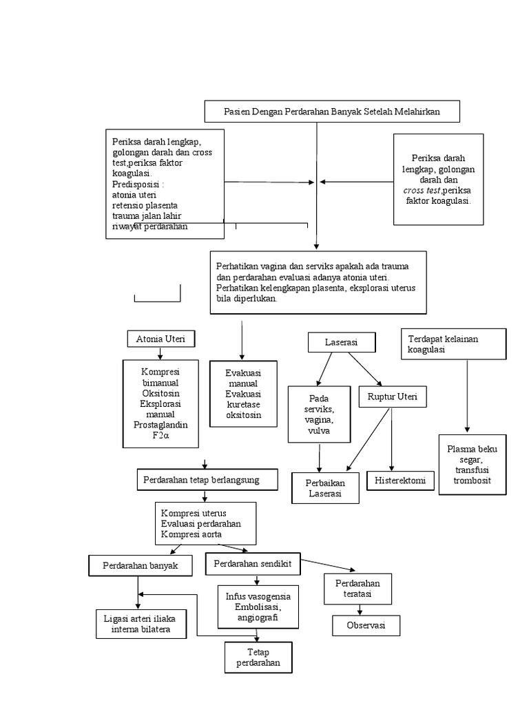 Skema Perdarahan Postpartum | PDF