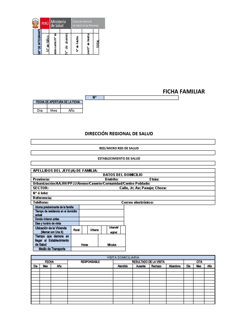 Ficha Familiar MINSA 2024: Formato y Ejemplo | PDF | Familia | Adultos