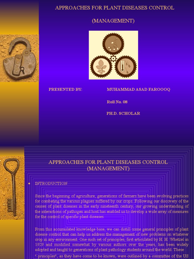 Approaches For Plant Diseases Control Management) | PDF | Plants ...