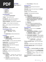 Skeletal System Concept Map | PDF | Bone | Histology