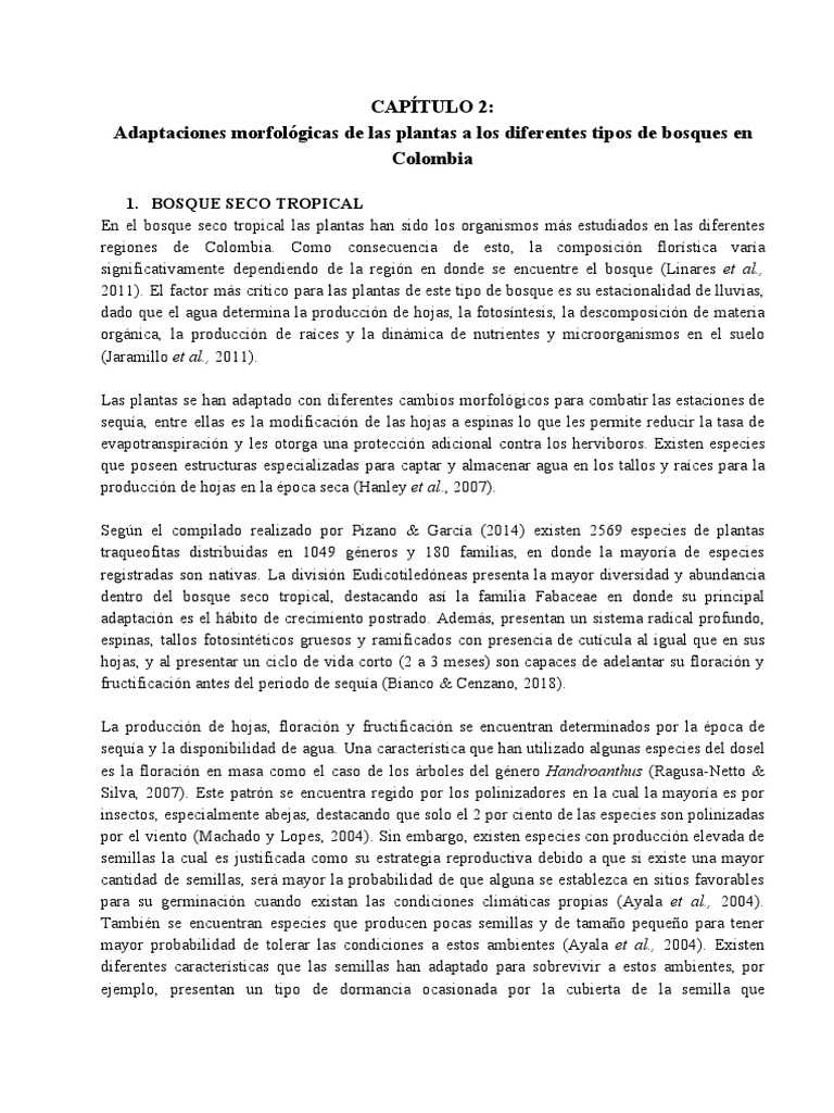Adaptaciones Morfologicas de Las Plantas A Los Diferentes Tipos de ...