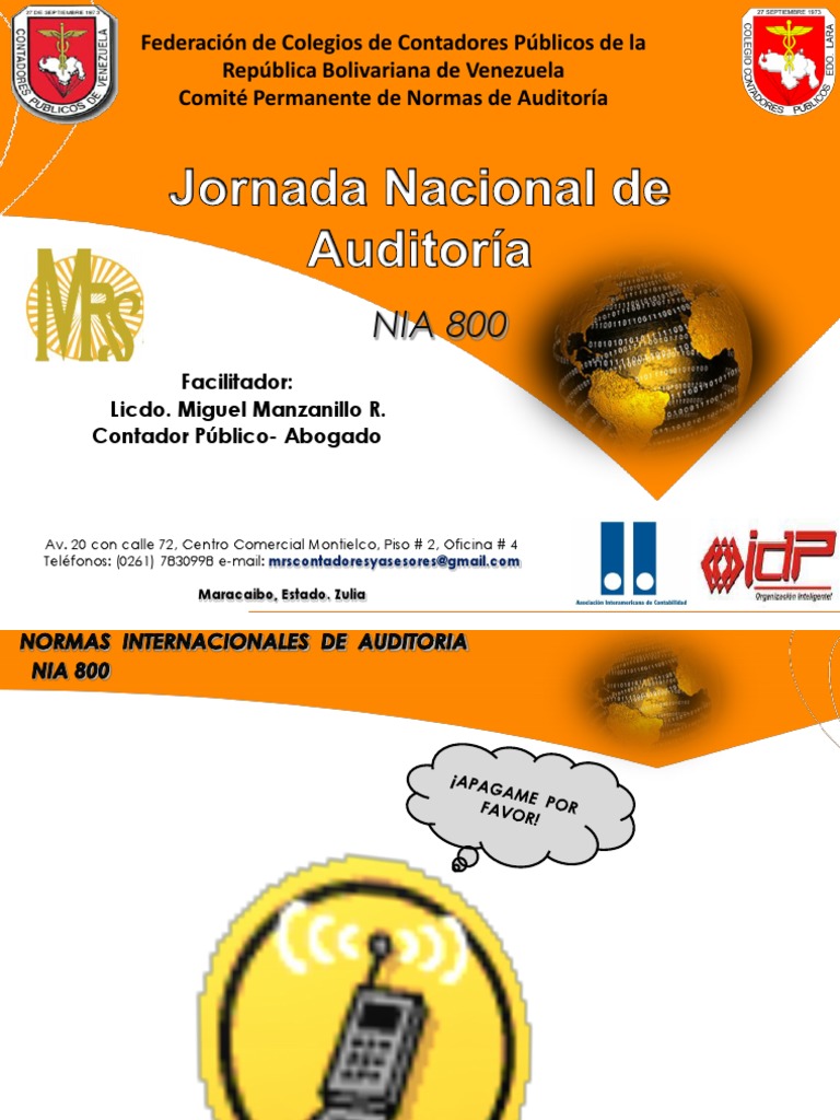 Nia 800 | PDF | Auditoría financiera | Auditoría