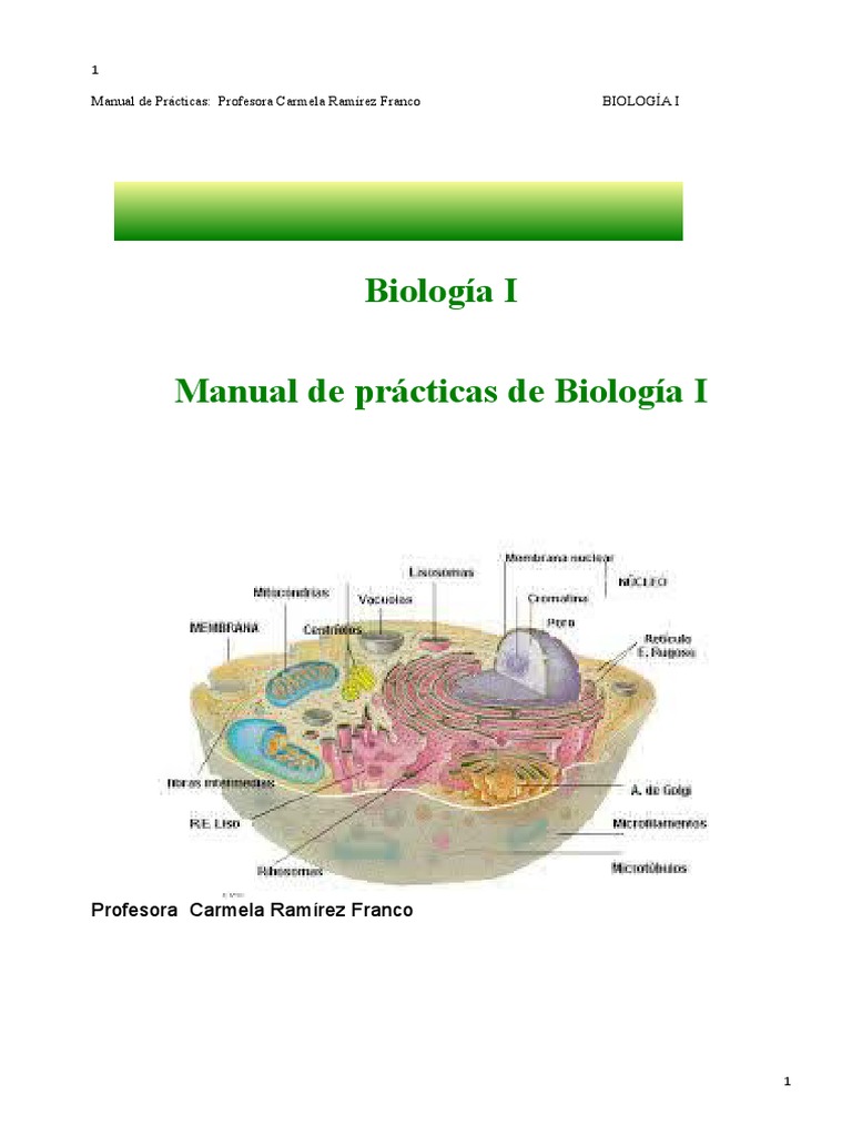 Manual de Practicas de Biologia | PDF | Carbohidratos | Cloroplasto