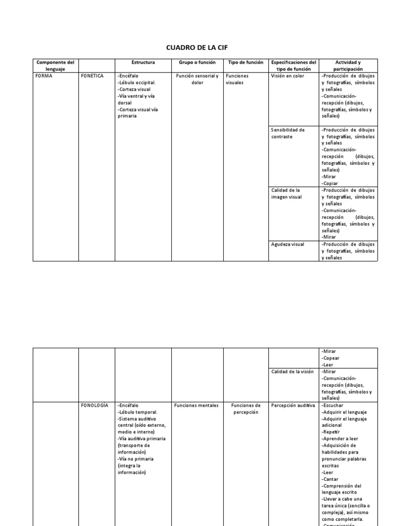 Cuadro de La Cif | PDF | Percepción visual | Sistema respiratorio