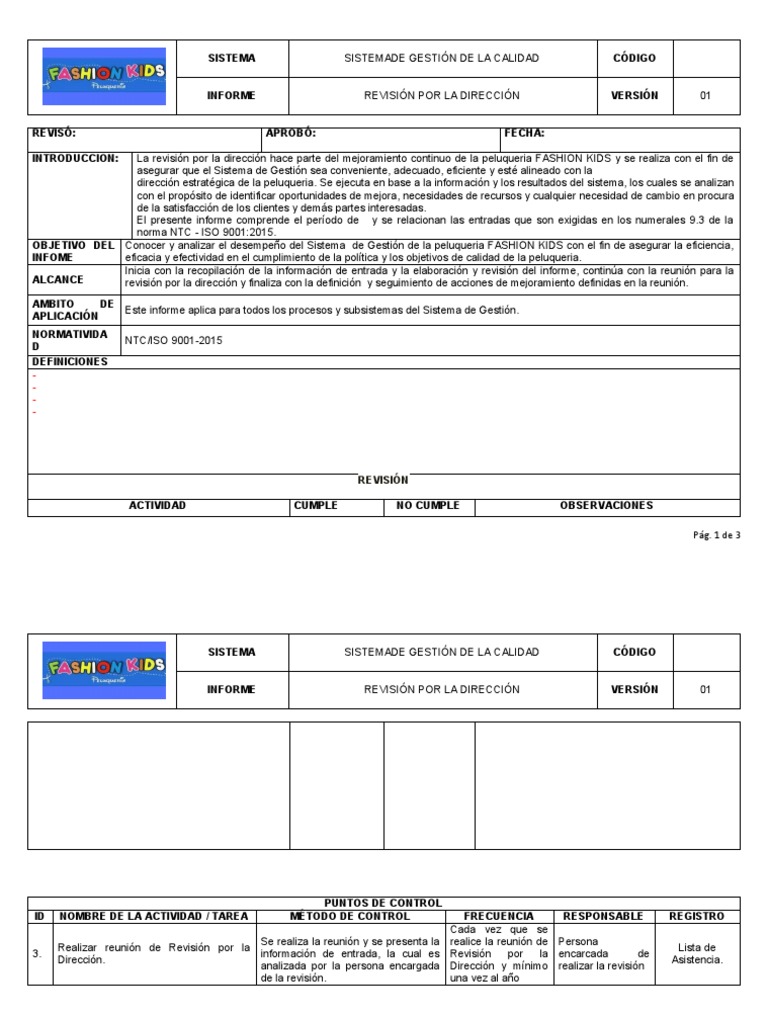 Informe de Revisión ISO 9001:2015 | PDF | Gestión de la calidad ...