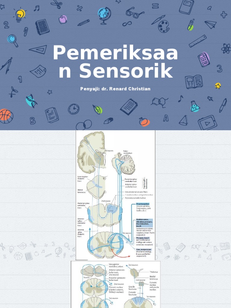 Pemeriksaan Sensorik | PDF