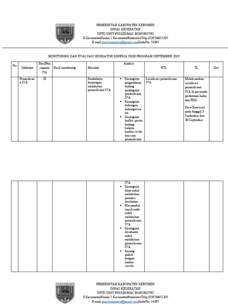 Pdca Iva | PDF