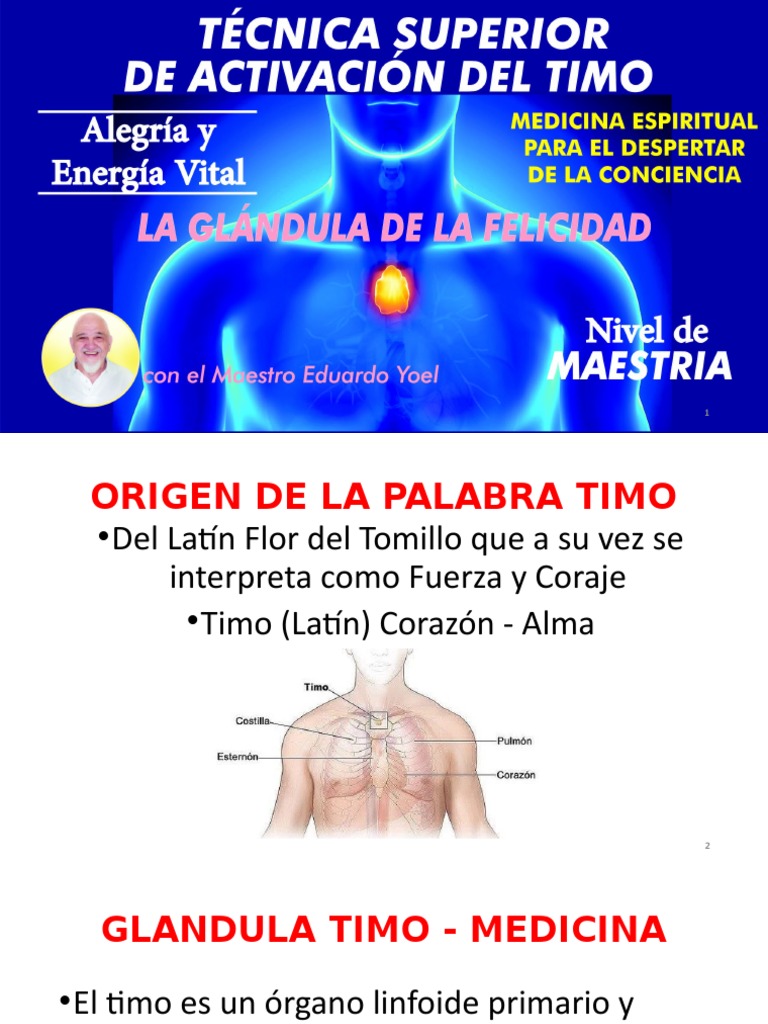 Timo Pdf Timo Sistema Inmune