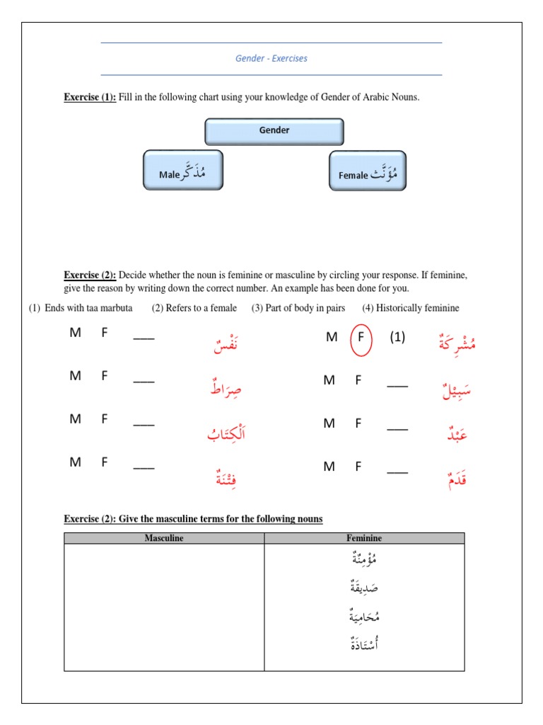 Arabic Grammer | PDF | Grammatical Gender | Language Mechanics