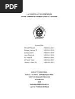 Uji Biokimia Vitamin: Laporan Praktikum | PDF | Pengembangan Diri ...