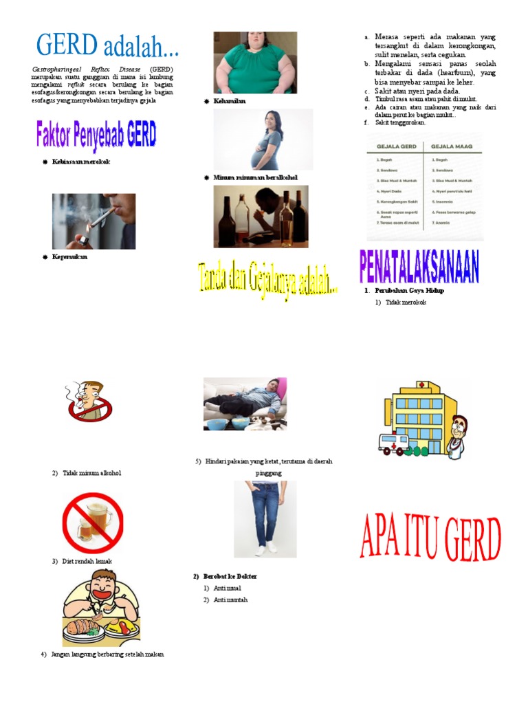 Leaflet GERD | PDF