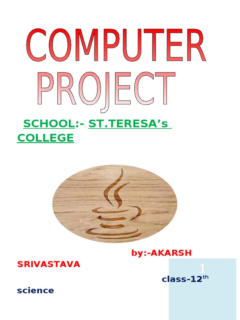 Computer Project Profile | PDF | String (Computer Science) | Integer (Computer Science)