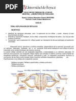 Reflejo consensual y su importancia clínica | PDF | Nervio | Ojo
