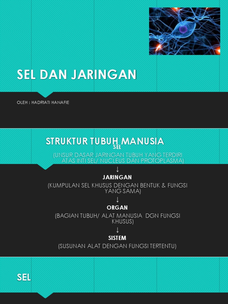 Sel Dan Jaringan PDF | PDF
