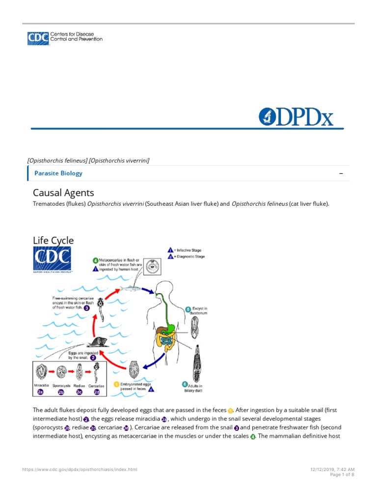 CDC - DPDX - Opisthorchiasis | PDF | Epidemiology | Clinical Medicine