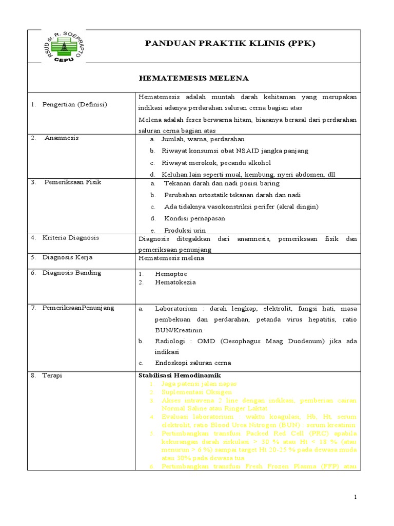PPK Hematemesis Melena | PDF
