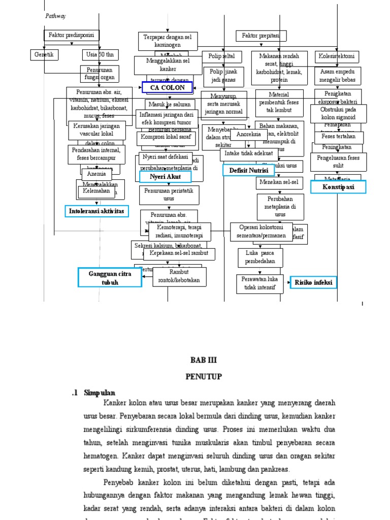 Pathway CA Kolon Dan Bab 3 | PDF