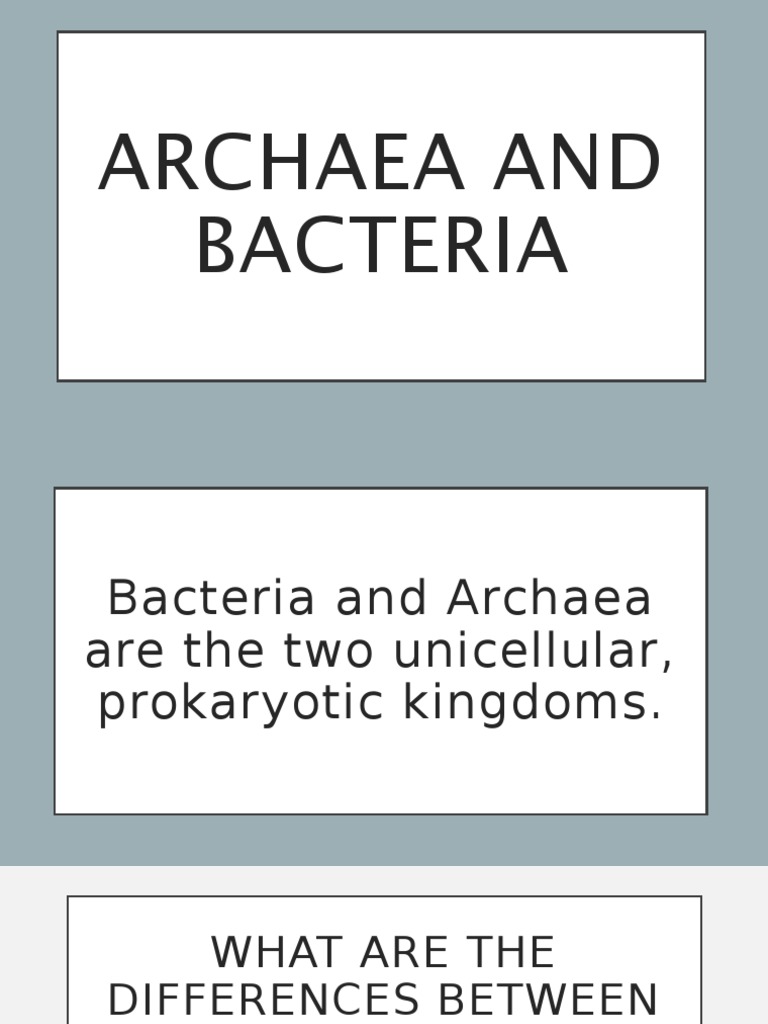 Archaea and Bacteria | PDF | Archaea | Bacteria