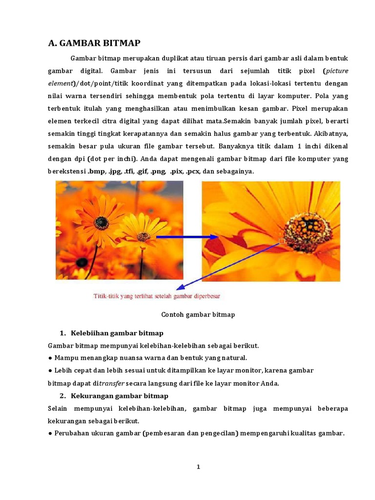 Gambar Bitmap | PDF