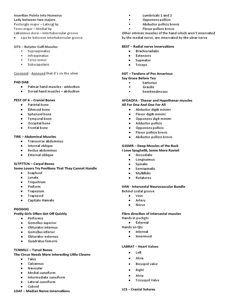 Mnemonics | PDF | Thumb | Hand