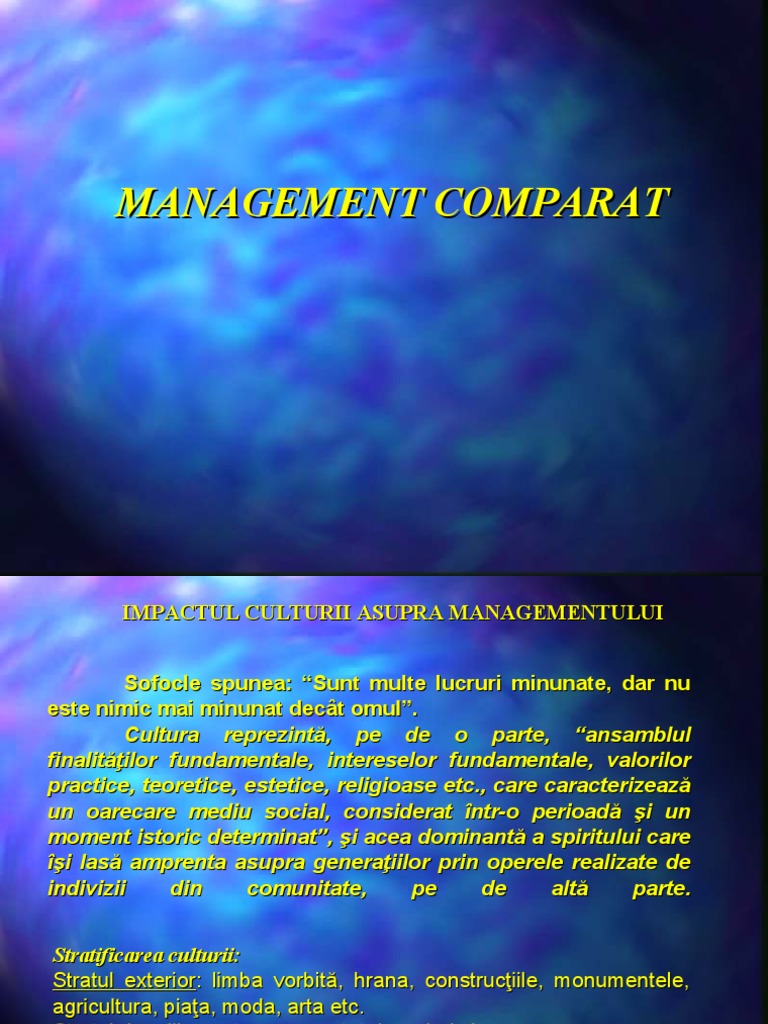 Curs Management Comparat | PDF