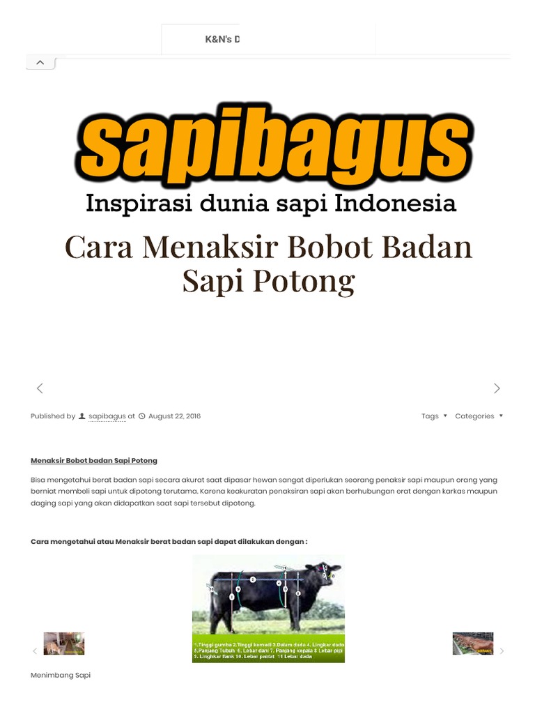 Cara Menaksir Bobot Badan Sapi Potong PDF | PDF