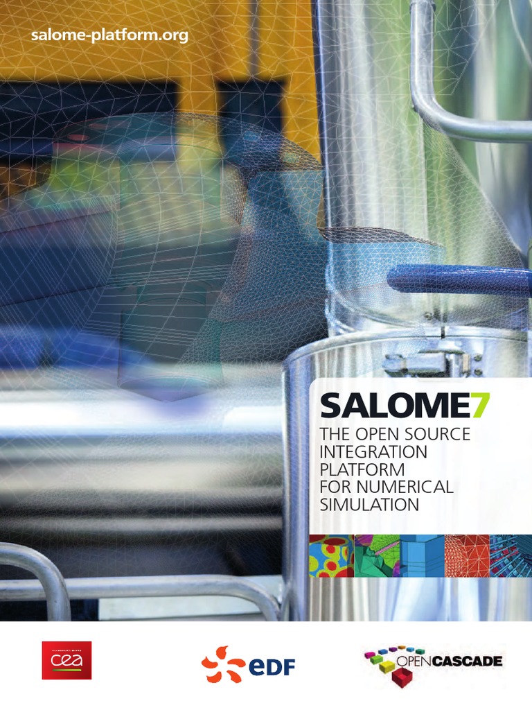 Salome V7 PDF | PDF | Computer Simulation | Simulation