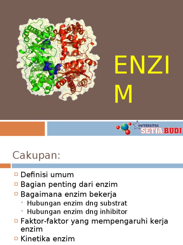 Biokimia Enzim | PDF