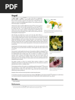 Suchman 1995 Legitimacy Theory | PDF | Legitimacy (Political) | Norm ...