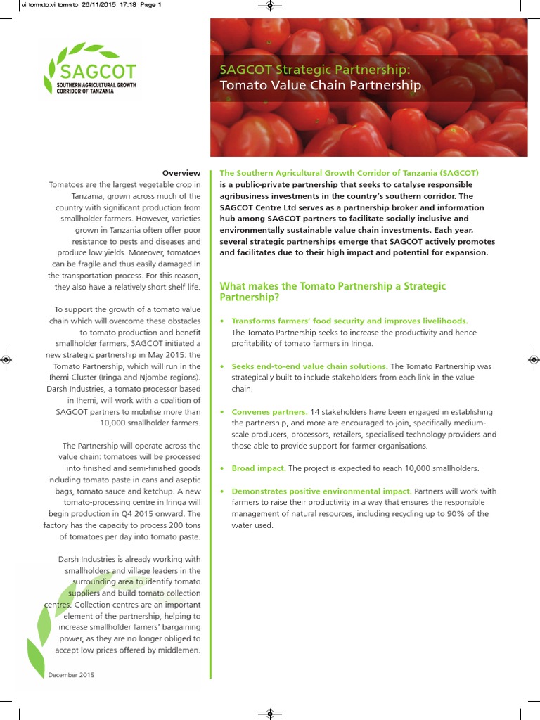 Value Chain Tomato 2 | PDF | Tomato | Tanzania