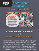 Dermatophyte Identification Chart | PDF | Fungus | Mycology