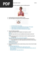Respiratory System GRADE 6 | PDF | Respiratory Tract | Lung